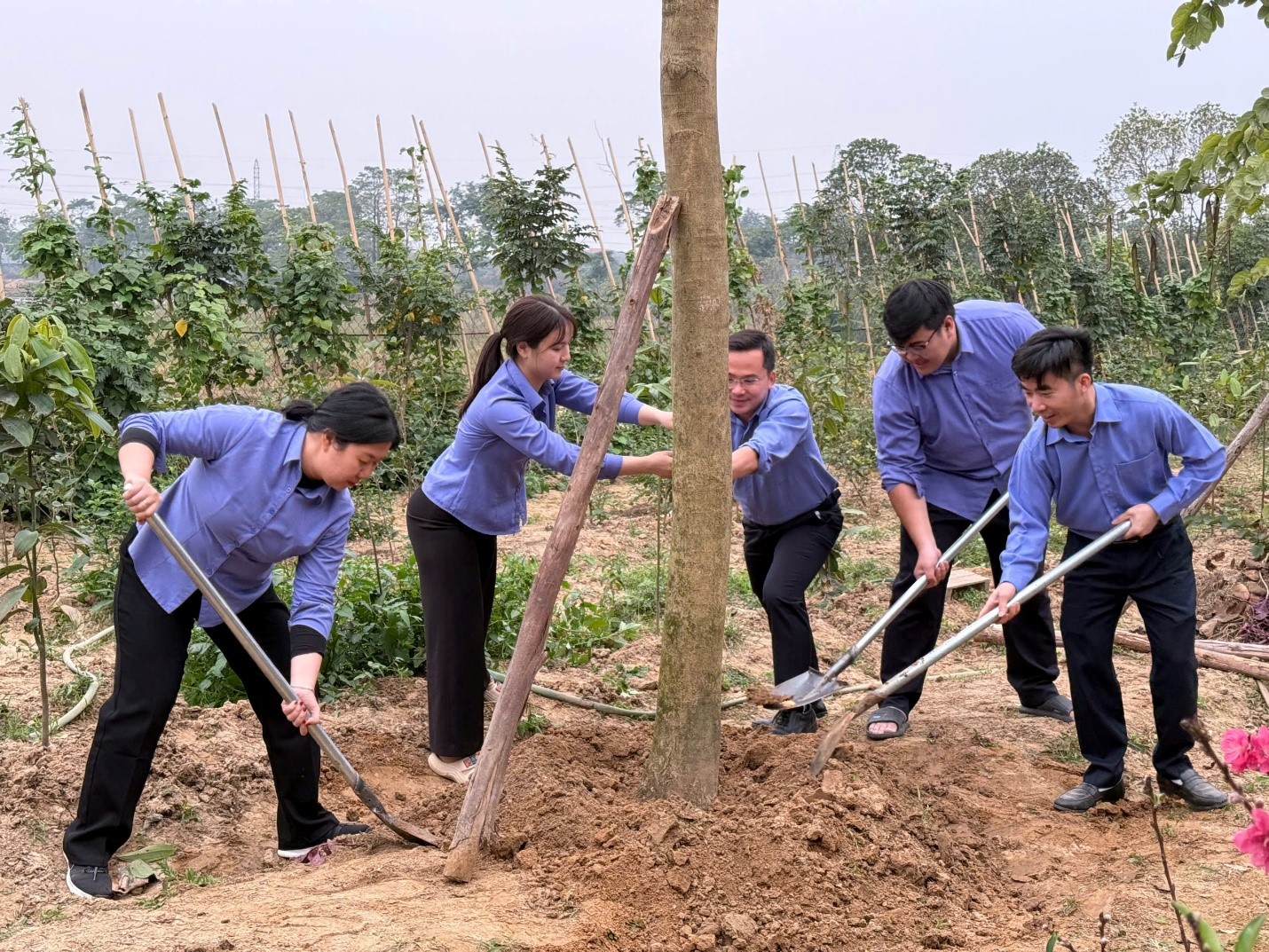 Đoàn Thanh niên Viện KSND huyện Đông Anh sôi nổi trồng cây đầu xuân Ất ...